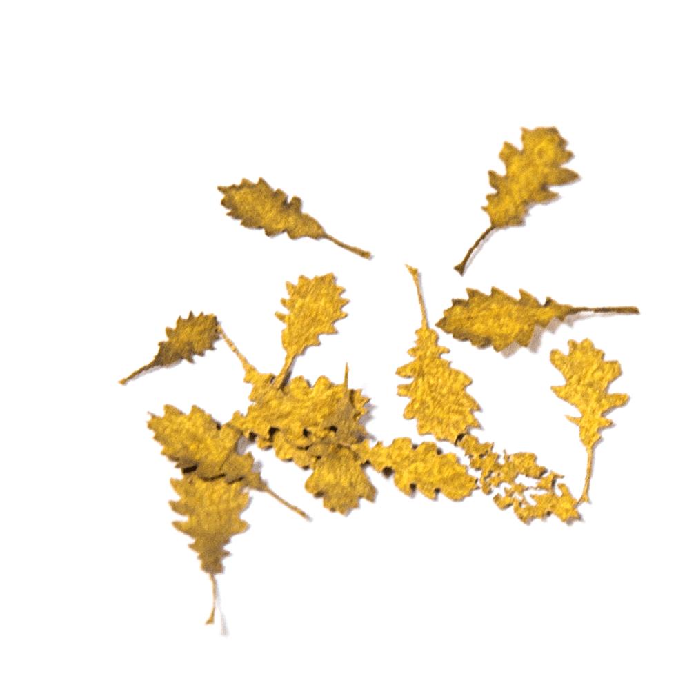 Oak Autumn - Dry Leaves model do sklejania AK-Interactive -8105 Oak Autumn - Dry Leaves model do sklejania AK-Interactive -8105